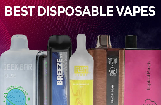 Top Disposable Vapes 2024 – Vaping 24